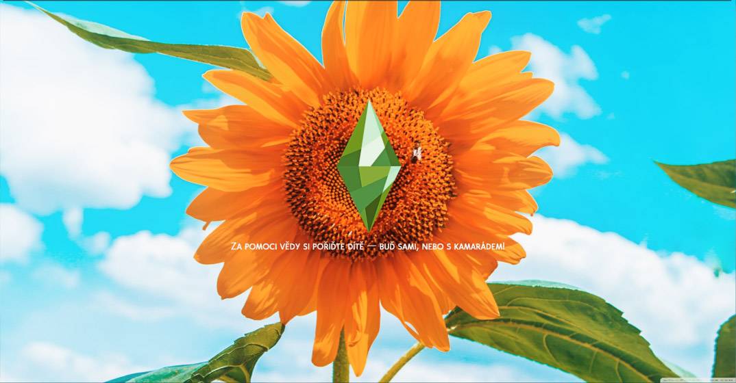 Sunflowers on a summer morning. loading screen - Gallery - The Sims 4 ...