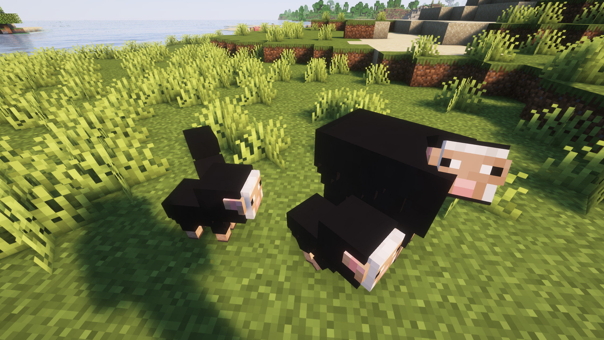 Realistic Sheeps - Minecraft Resource Packs - CurseForge