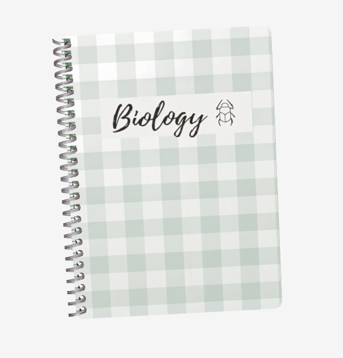 Back to school notebooks - Gallery - The Sims 4 Build / Buy - CurseForge