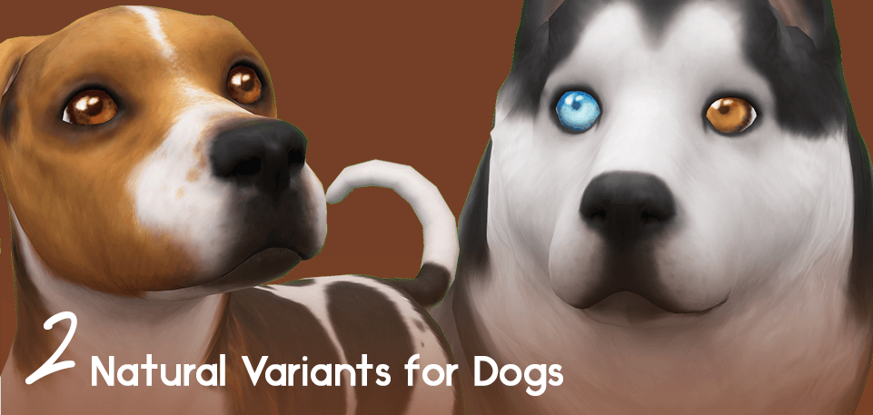 Boreal Vibrance WHISKERS - Default Cat & Dog Eyes With Extras - The ...