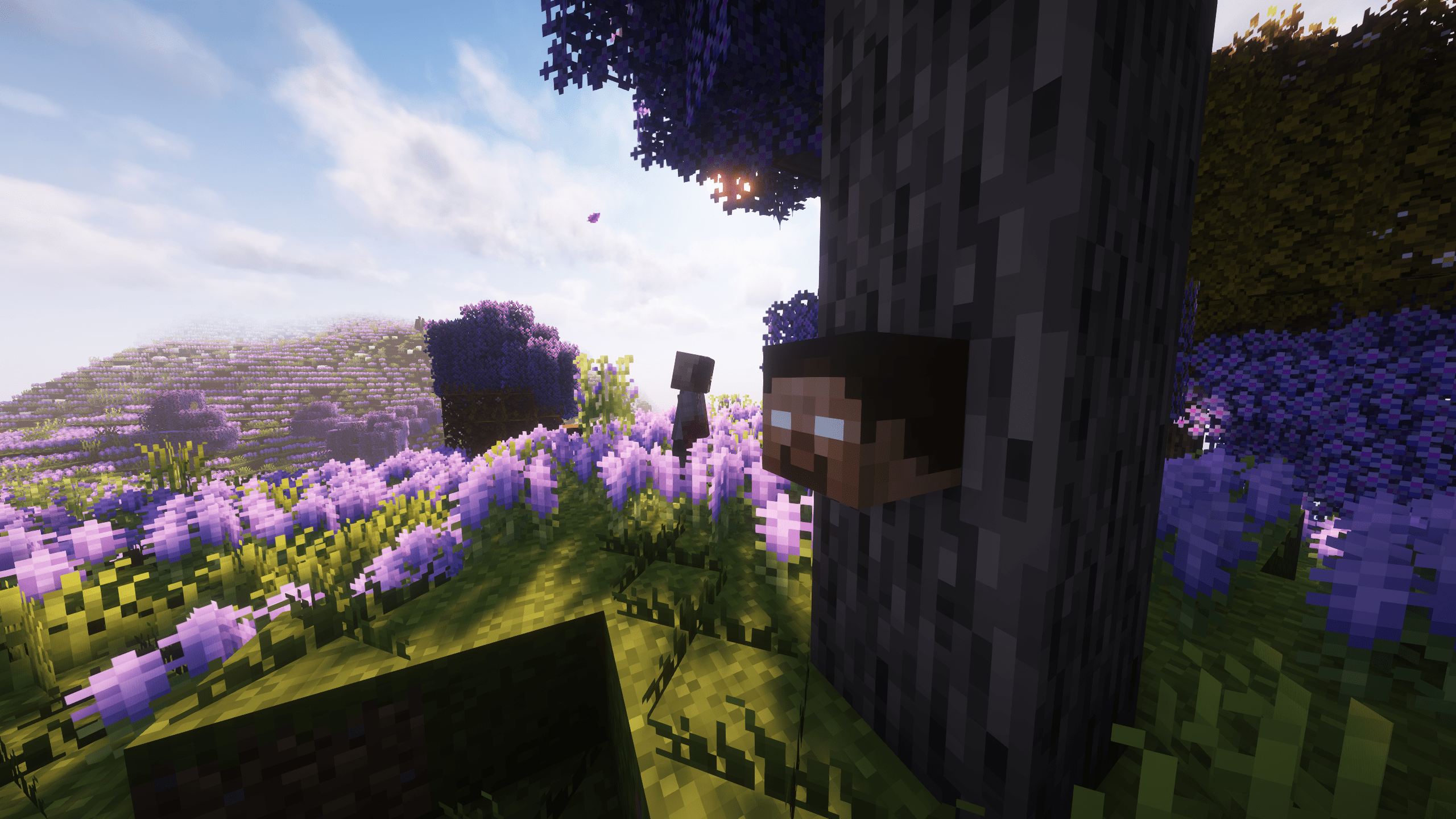 Beneath Forgotten Skies - Minecraft Modpacks - CurseForge