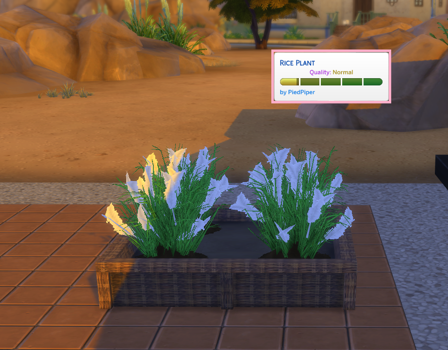 Rice (Harvestable) - Gallery - The Sims 4 Mods - CurseForge