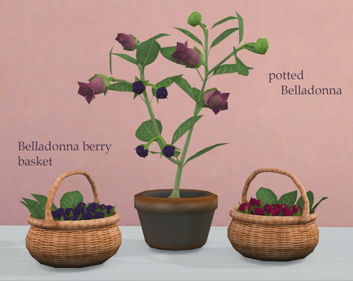 Herbal Witch's Favorites - Gallery - The Sims 4 Build / Buy - CurseForge