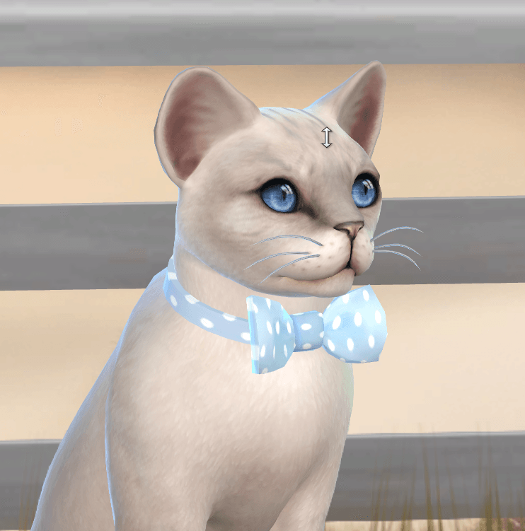 [PW] Patterned Cat Bows - Screenshots - The Sims 4 Pets - CurseForge