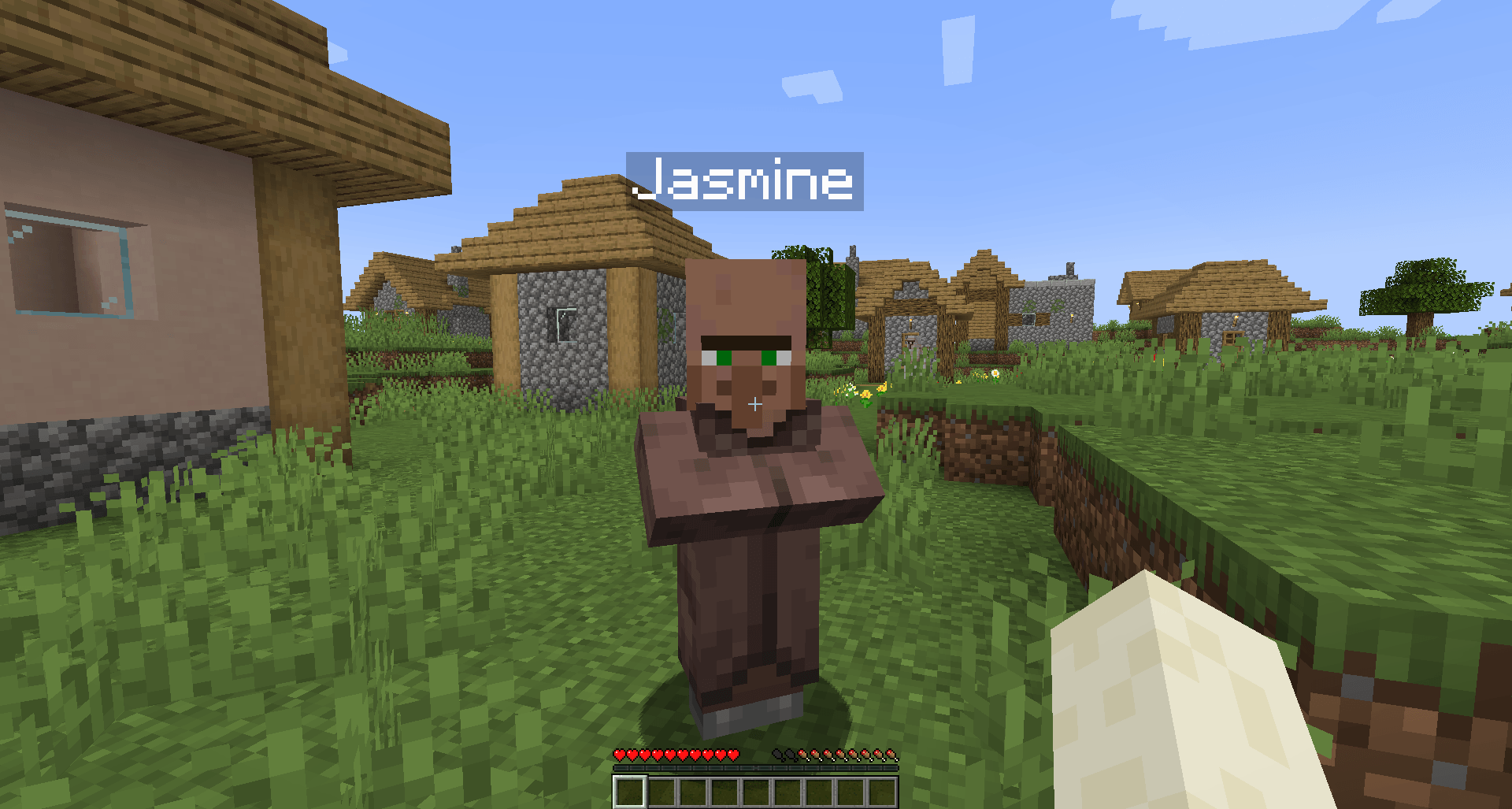 Custom Villager Names - Minecraft Mods - CurseForge