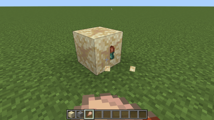 Sus Loot - Gallery - Minecraft Bedrock Addons - CurseForge