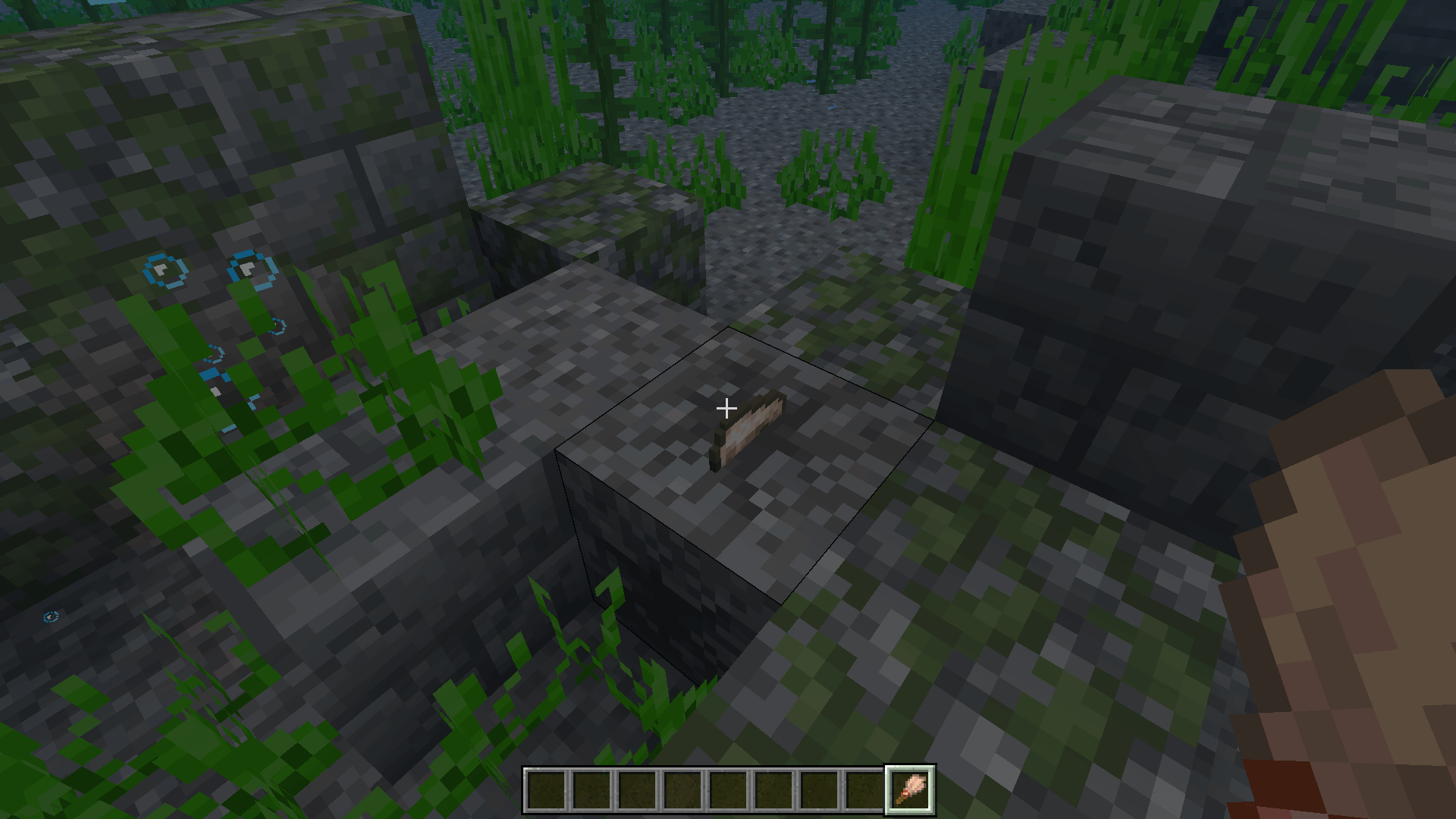 Sus Loot - Gallery - Minecraft Bedrock Addons - CurseForge