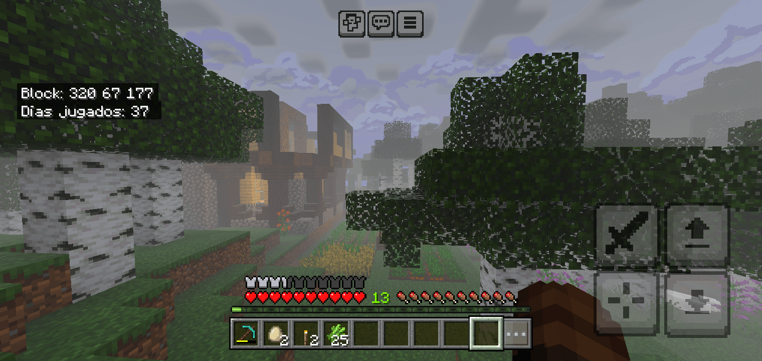 Newb x Chiz - Gallery - Minecraft Bedrock Texture Packs - CurseForge