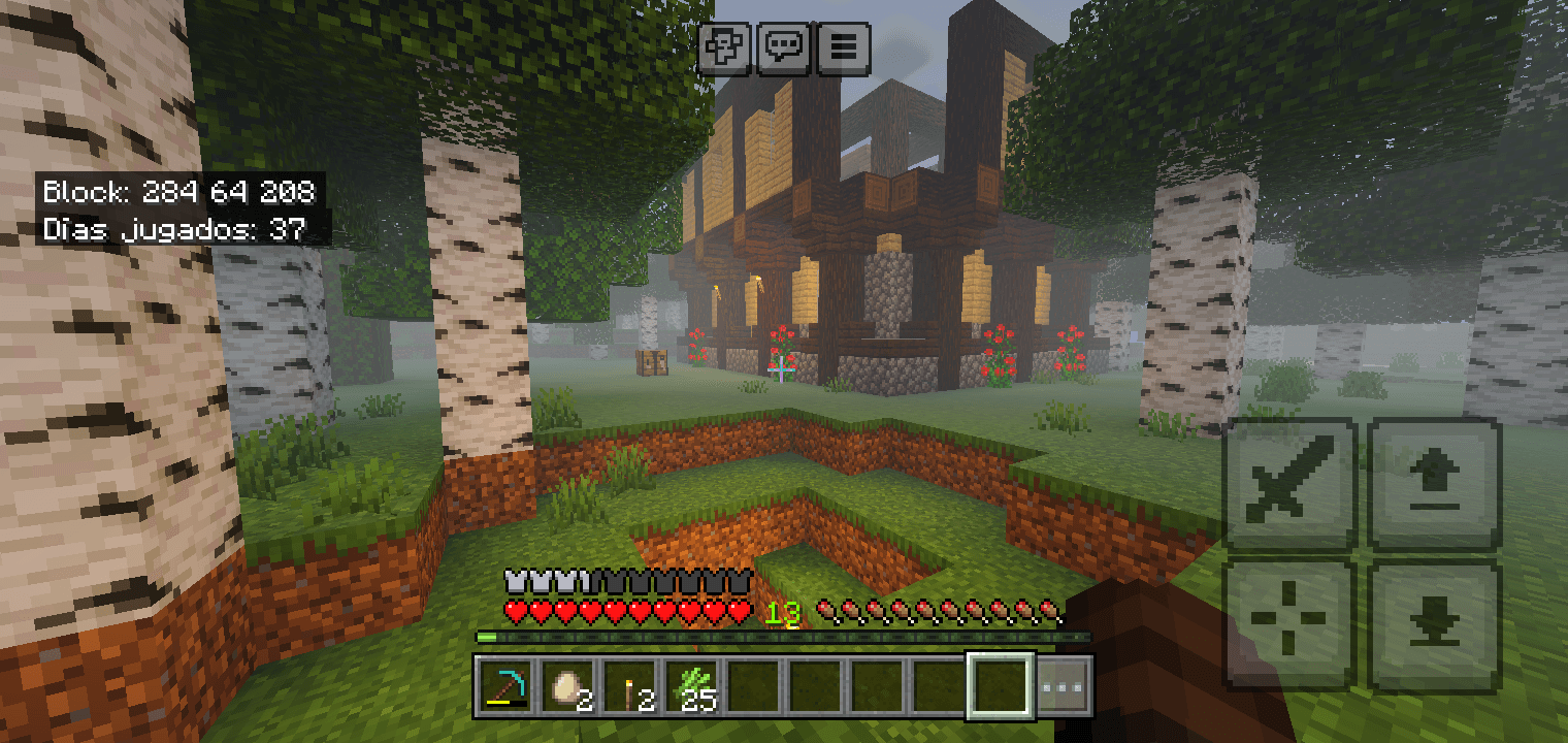 Newb x Chiz - Gallery - Minecraft Bedrock Texture Packs - CurseForge