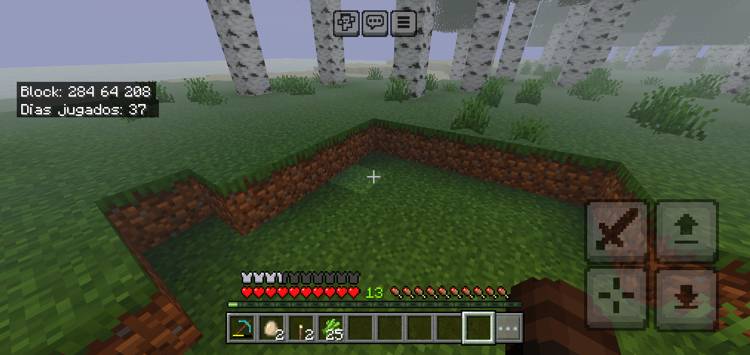 Newb x Chiz - Gallery - Minecraft Bedrock Texture Packs - CurseForge