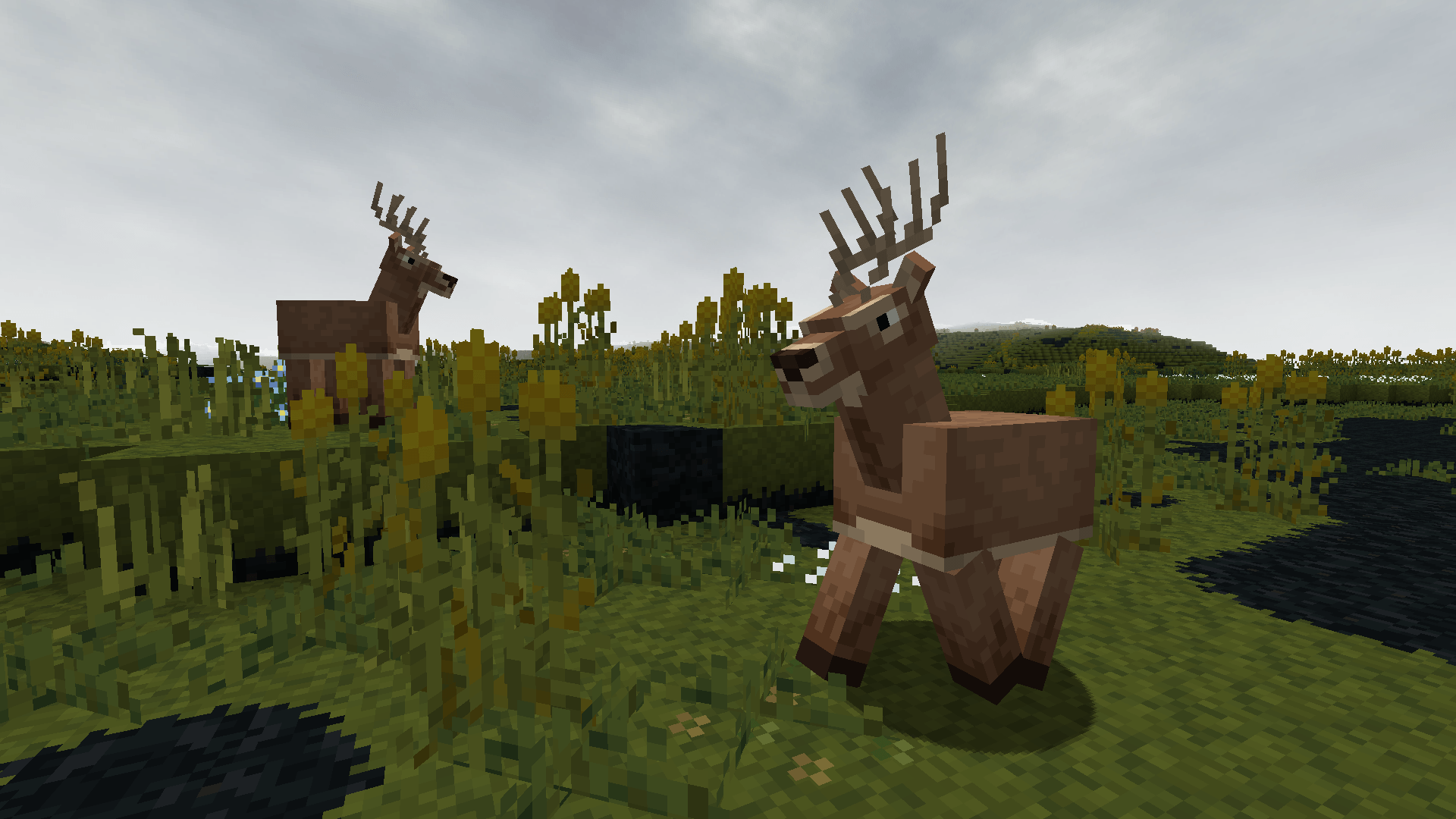 Ender Stranding - Gallery - Minecraft Resource Packs - CurseForge