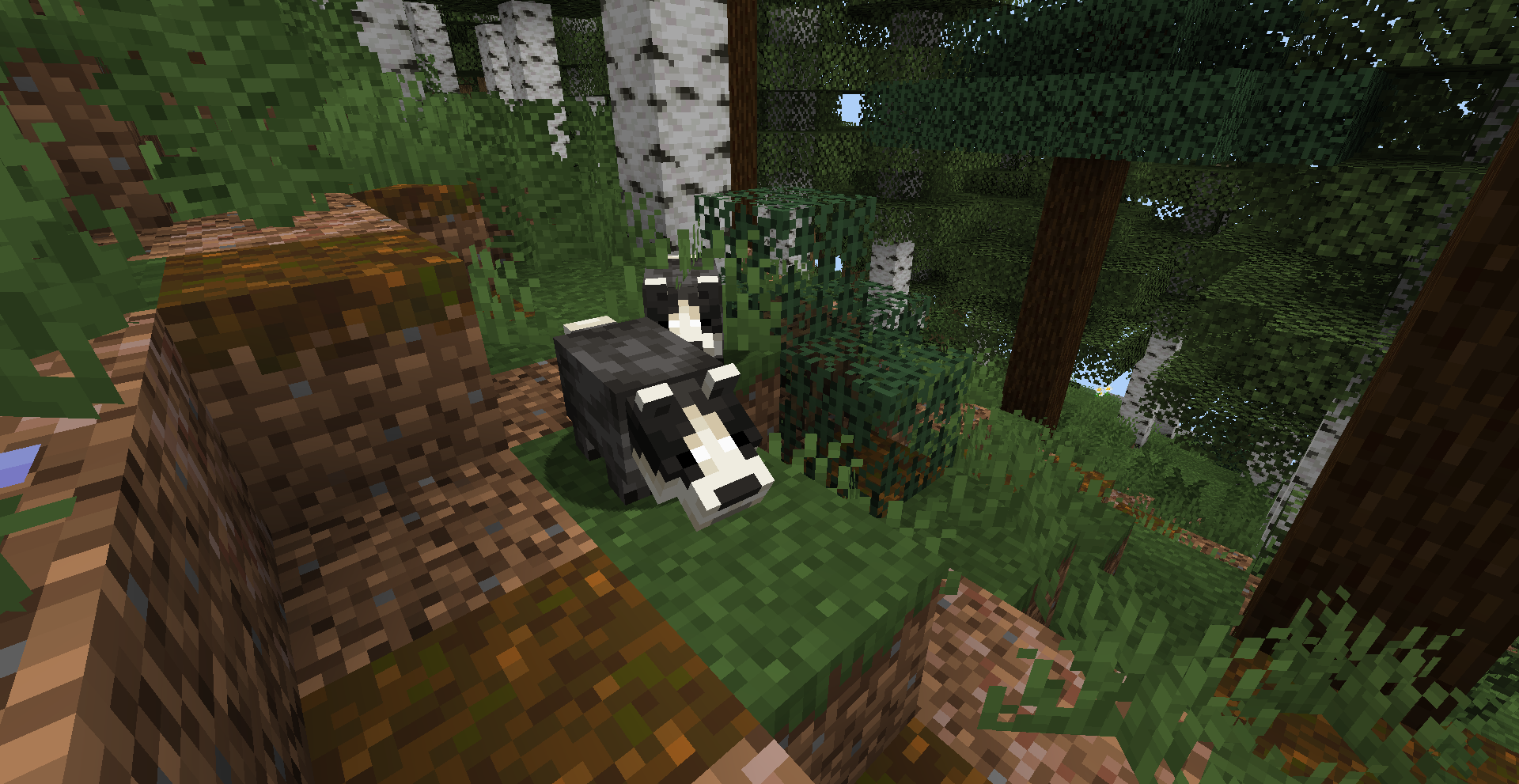 wild life adventures - Gallery - Minecraft Modpacks - CurseForge