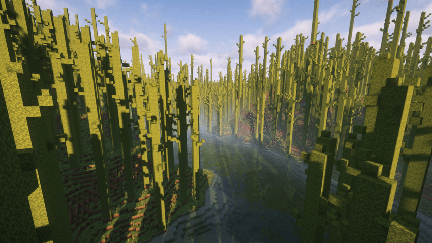Coniferous Forest Biome