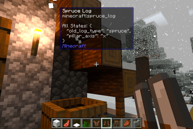 What Am I Observing? - Minecraft Bedrock Addons - CurseForge