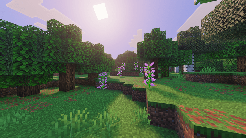 Simplicity (Vibrant Visuals) - Minecraft Bedrock Texture Packs - CurseForge