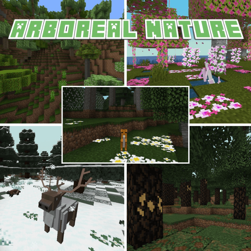 Arboreal Nature - Minecraft Mods - CurseForge