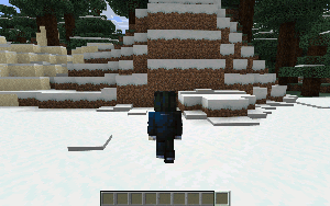 Phase Blocks by Four - Minecraft Bedrock Addons - CurseForge