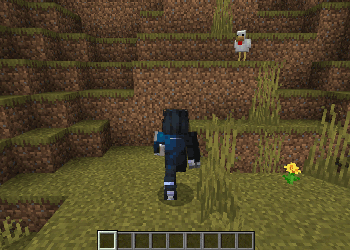 Phase Blocks FWS - Minecraft Bedrock Addons - CurseForge