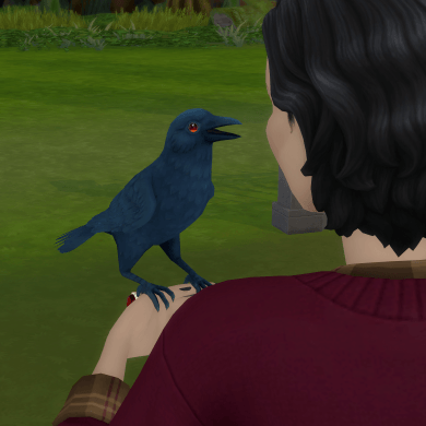 💎Crystal Perch Pet Crow🐦‍⬛ - The Sims 4 Build / Buy - CurseForge