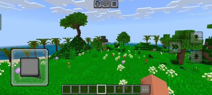 Invisible Touch Buttons - Minecraft Bedrock Texture Packs - CurseForge