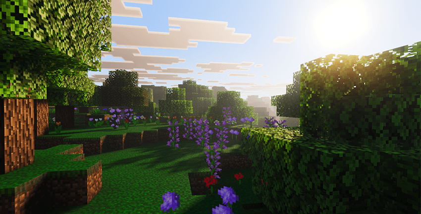 Vanilla Reforged (Vibrant Visuals Pack) - Minecraft Bedrock Texture ...