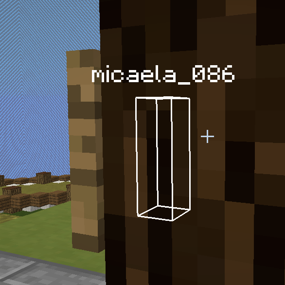 PlayerESP (Wallhack) - Minecraft Mods - CurseForge