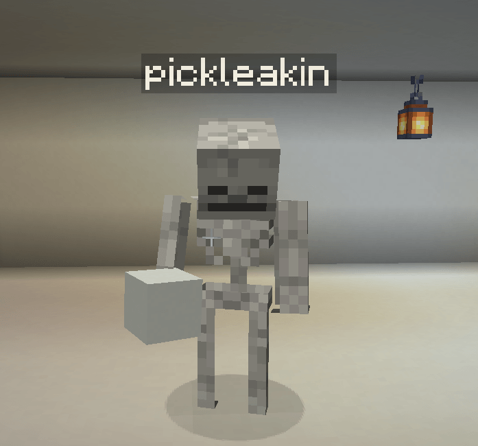 hidename(nick) Minecraft Mod