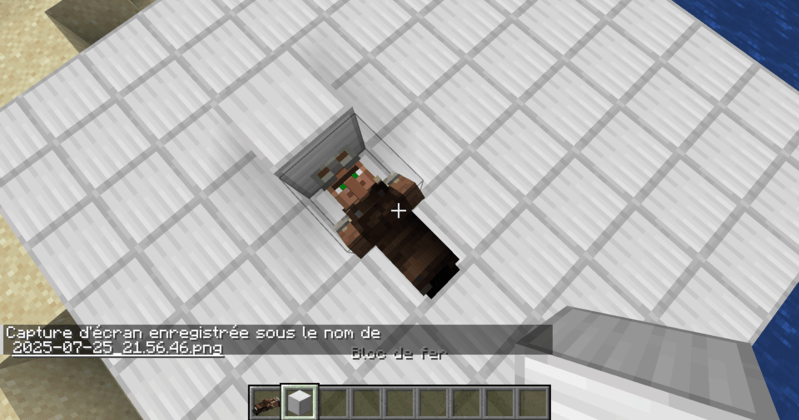 Block villager - Minecraft Mods - CurseForge