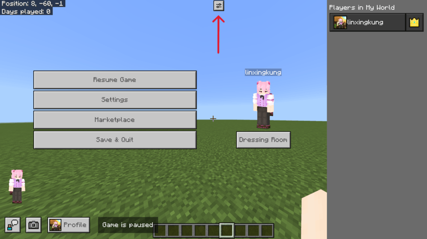 Linxing's Paper Doll v1.2.0 - Minecraft Bedrock Texture Packs - CurseForge