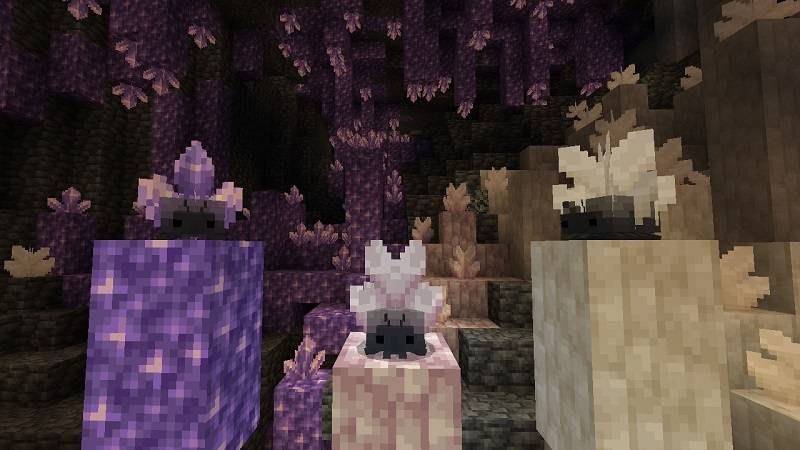 Nico's Cave Expansion - Minecraft Bedrock Addons - CurseForge