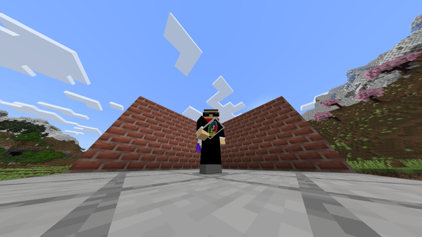 Suvile's Uno Reverse Card Totem v3.3 for 1.21.131 (Now with Black and ...