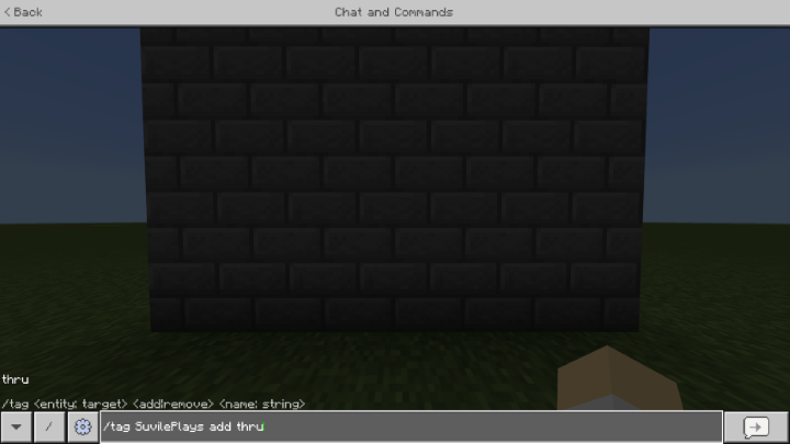 Function Thru v3 for 1.21.113 (Now with tag verification) - Minecraft ...