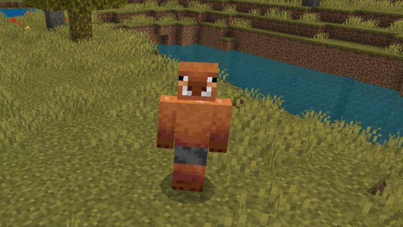 Pigman Addon [Withering Nether!] - Minecraft Bedrock Addons - CurseForge