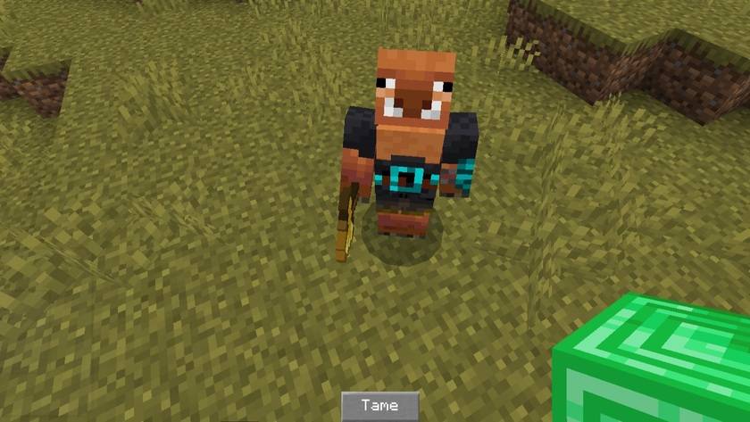 Pigman Addon [Withering Nether!] - Minecraft Bedrock Addons - CurseForge