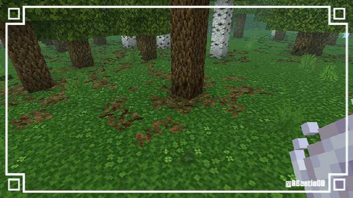 Renewed Enhanced World - Visual Effects Update - Minecraft Bedrock ...