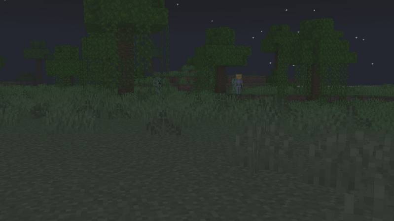 Night Vision Universal - Minecraft Bedrock Texture Packs - CurseForge
