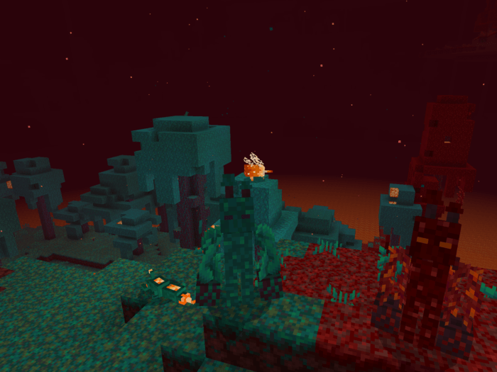 BestGamer's Minecraft Overhaul: End Updates, Nether Updates & More ...