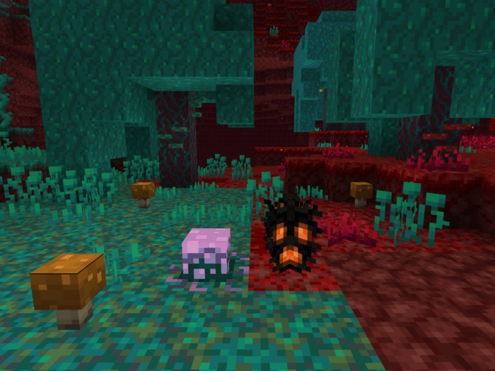 BestGamer's Minecraft Overhaul: End Updates, Nether Updates & More ...