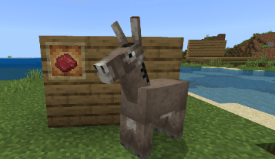 Casualness Delight Bedrock (Unofficial) - Minecraft Bedrock Addons ...