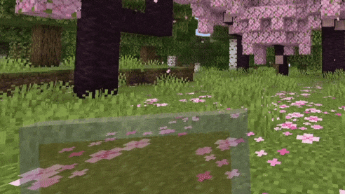 Ponky's Transparent Shield - Minecraft Bedrock Texture Packs - CurseForge