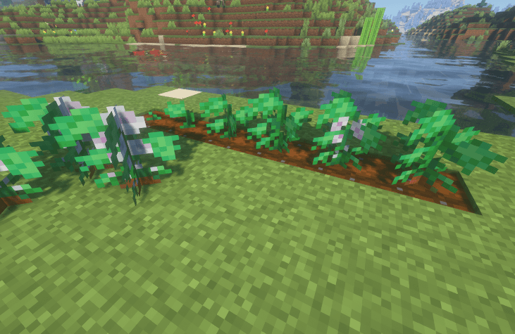 Peruvian's Delight - Minecraft Mods - CurseForge