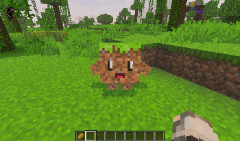 Fours Block Pets [Cutest and Strongest Blocks in Minecraft ...