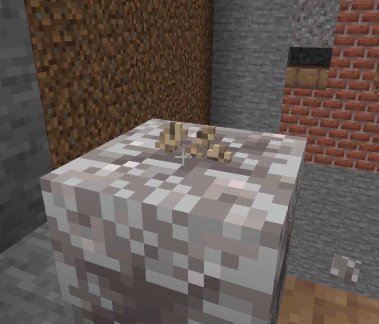 Biome Compass : Reimagined - Minecraft Bedrock Addons - CurseForge