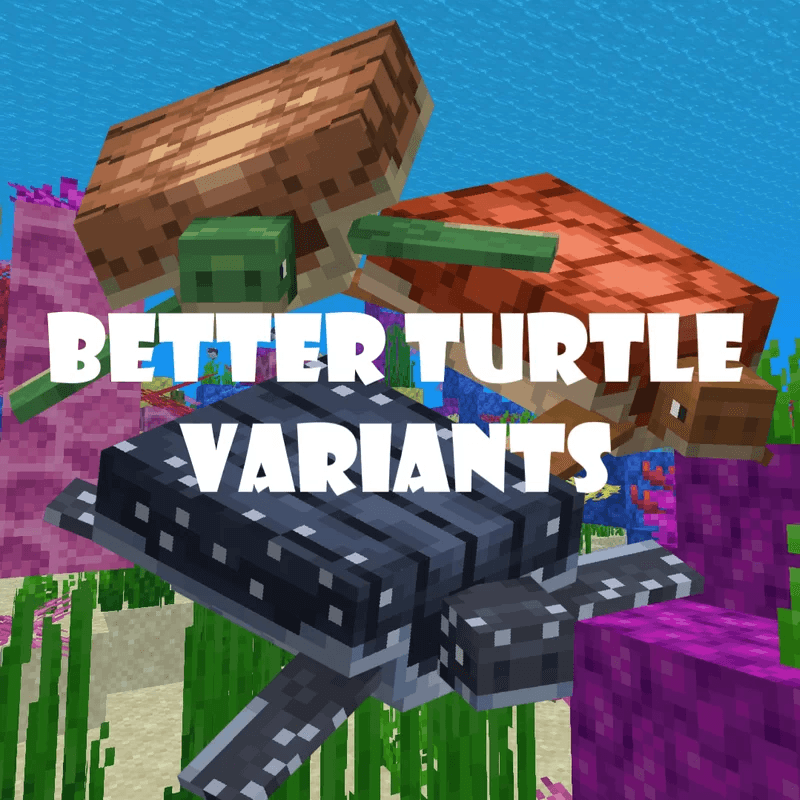 Better Turtle Variants - Minecraft Bedrock Texture Packs - CurseForge