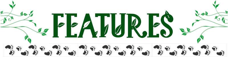 LOPA - Life of Plants & Animals - Minecraft Modpacks - CurseForge