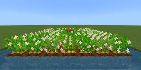 Fancy Crops - Minecraft Bedrock Texture Packs - CurseForge