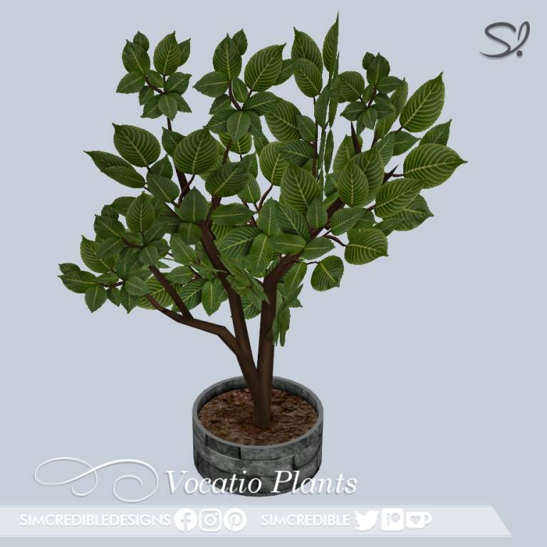 Vocatio potted tree 🌳 - The Sims 4 Build / Buy - CurseForge