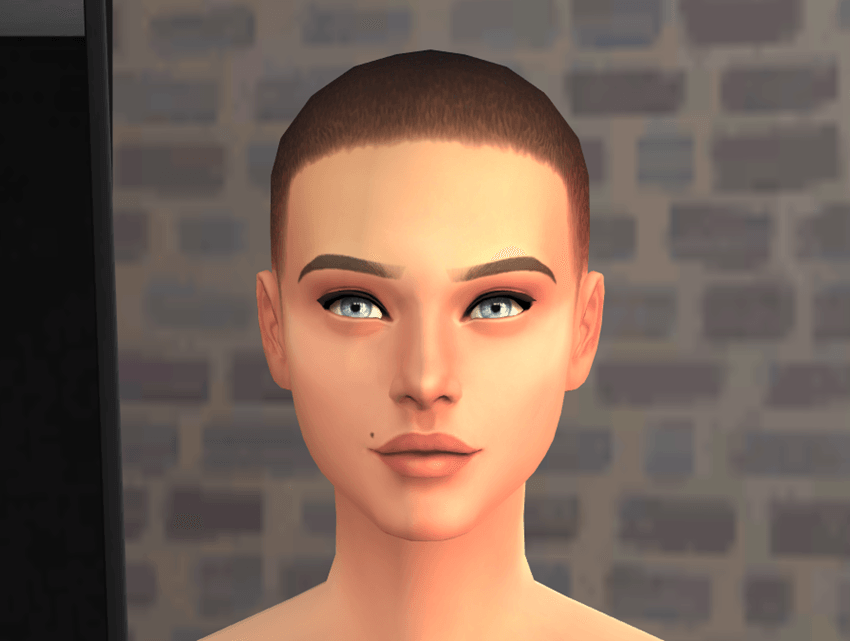 SIM TRIO - The Sims 4 Sims / Households - CurseForge