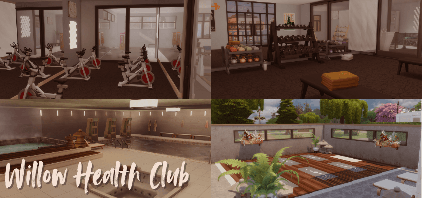 Evermore Save Project #18 - Willow Health Club (Willow Creek) - The ...