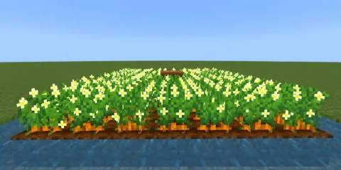 Fancy Crops - Minecraft Bedrock Texture Packs - CurseForge